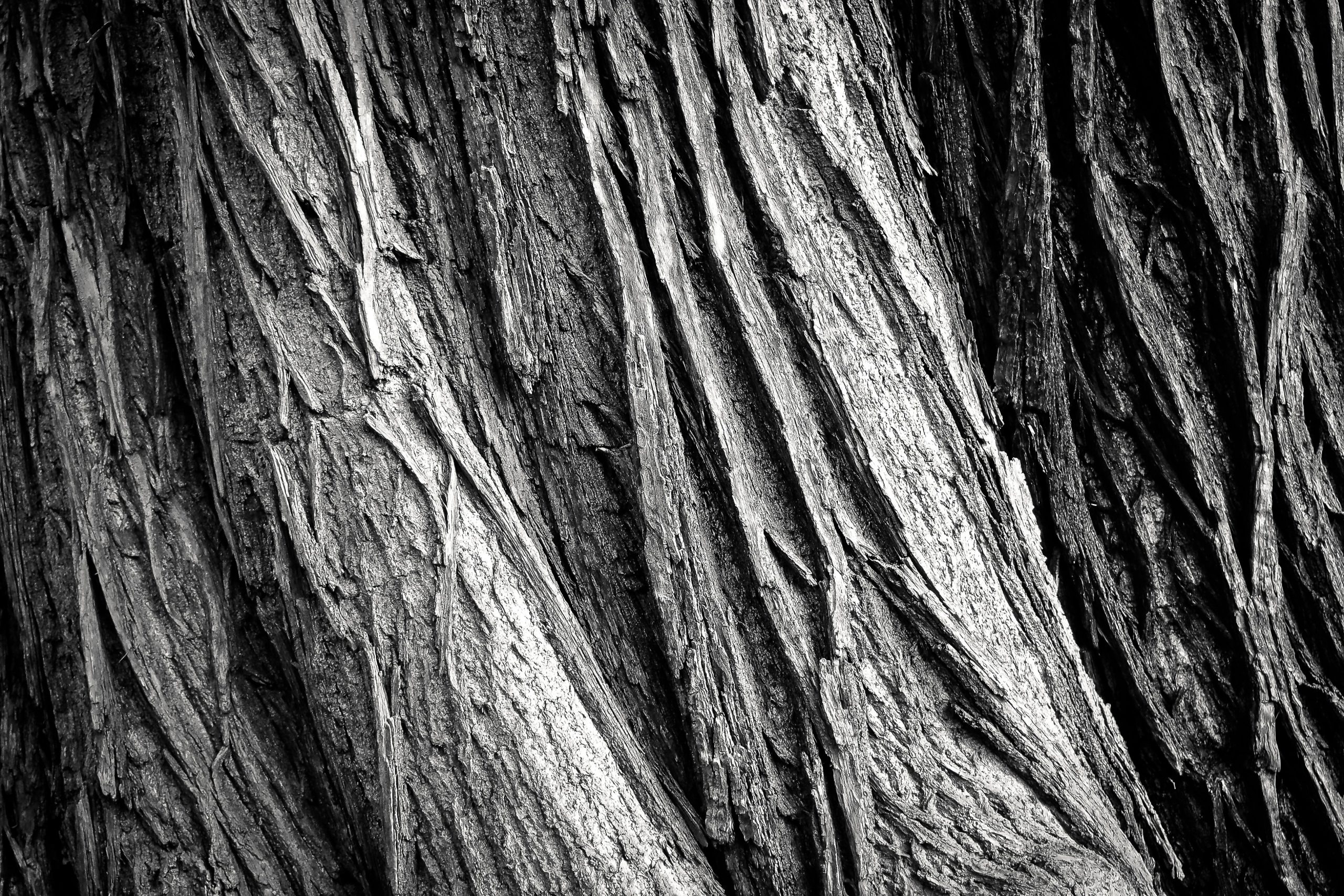 How To Implement A Decision Tree Algorithm In Java Griddb Open Source Time Series Database